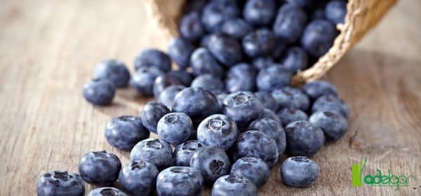 Alimentos de Color Azul como el Verano | Clínica Adelgar